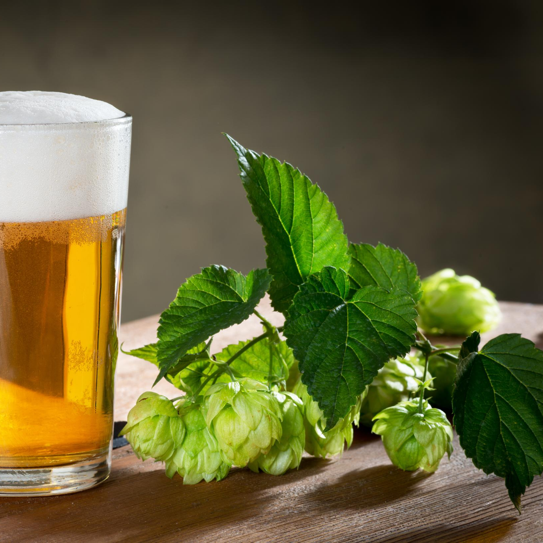 TODO SOBRE LÚPULOS | Capacitaciones El Molino